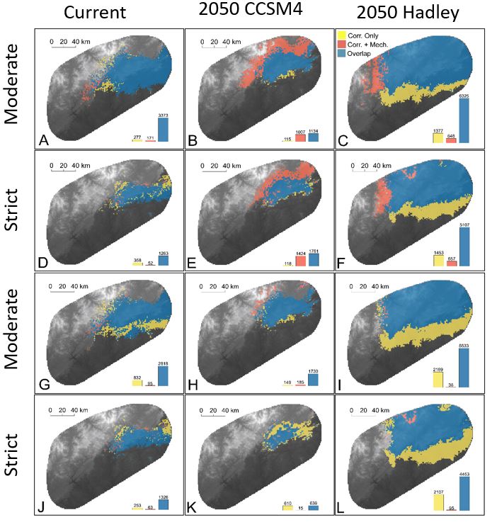 MAP673 Portfolio Starter Template